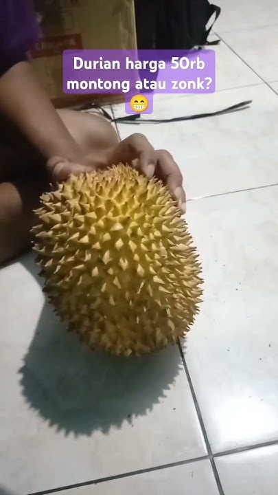 Durian harga 50rb montong atau zonk? 😁 - YouTube