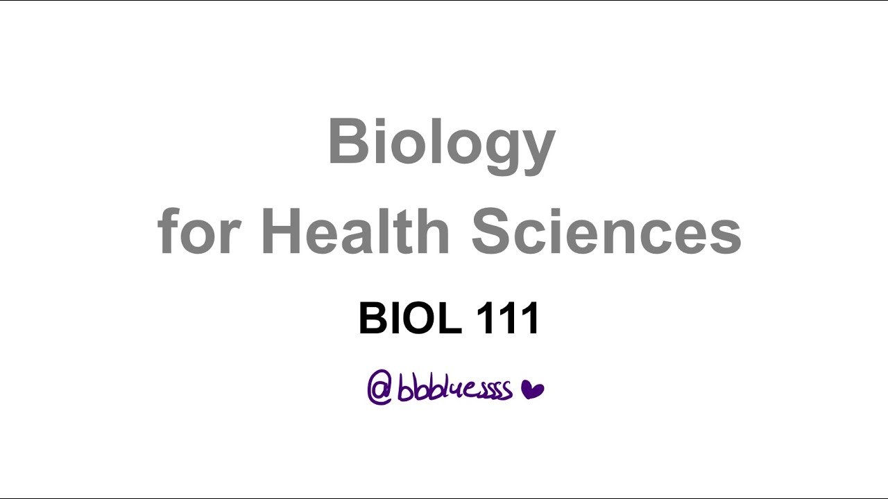 Biology 111 lecture - 1 [ Molecules of Life + Carbohydrates ] - YouTube