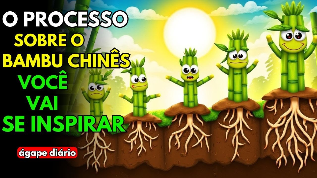 O Lindo Processo de Vida do Bambu Chinês – Assista e Reflita - YouTube