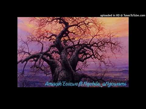Amacik'Esizwe ft Nqobile _ungowami