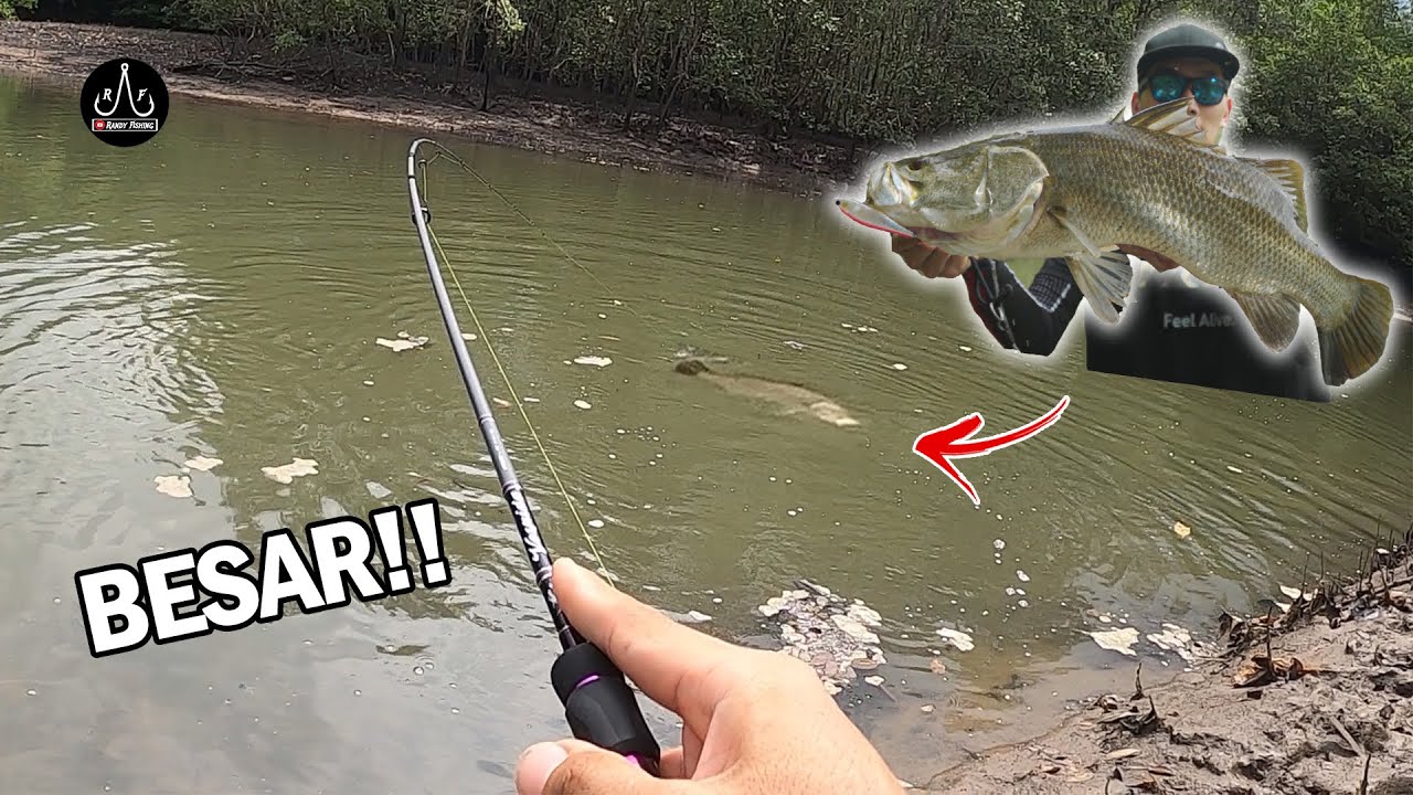 Caught My Biggest BARRA At Pulau Ubin!!!! | UltraLight Fishing ...