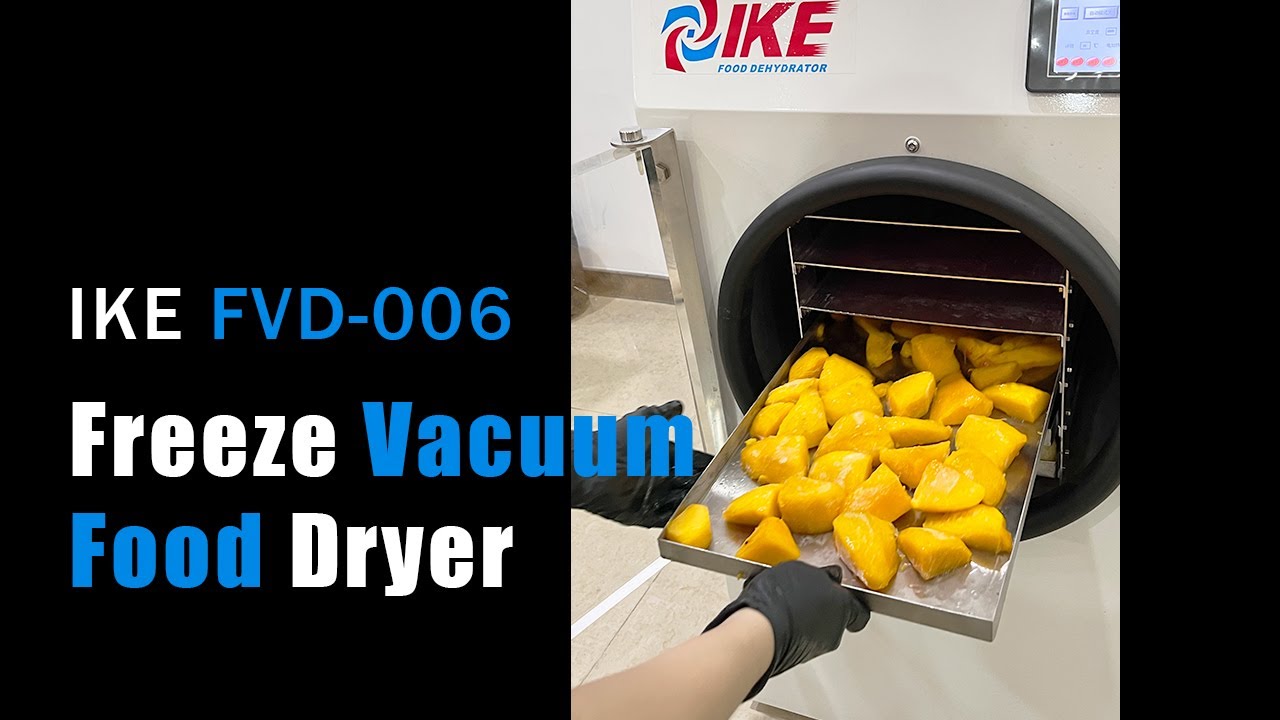 IKE FVD-006 Freeze Vacuum Food Dryer - YouTube