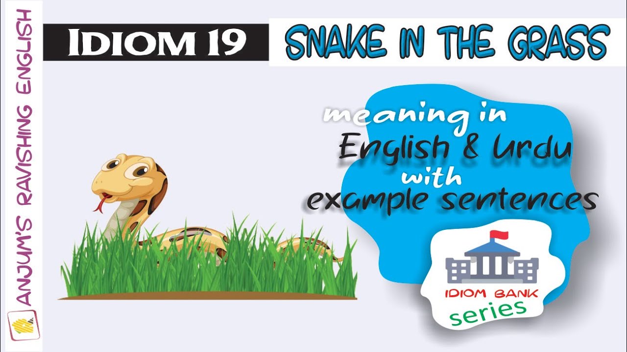Idiom 19 Snake In The Grass English Idioms Phrases With Meanings And Examples In Urdu idiom-19-snake-in-the-grass-english-idioms-phrases-with-meanings-and-examples-in-urdu