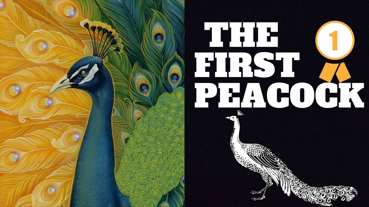 learn read English through story level 1 -The First Peacock - YouTube