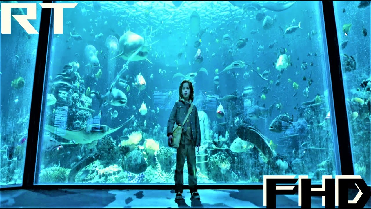 Aquaman 2018 - Arthur is talking to the fish Scene 2160p 4K BluRay ...