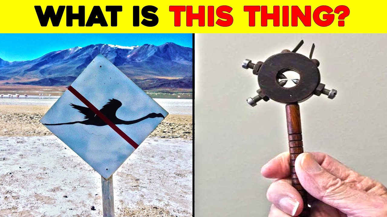 What Is This Thing? Times People Stumbled Upon Mysterious Objects - YouTube