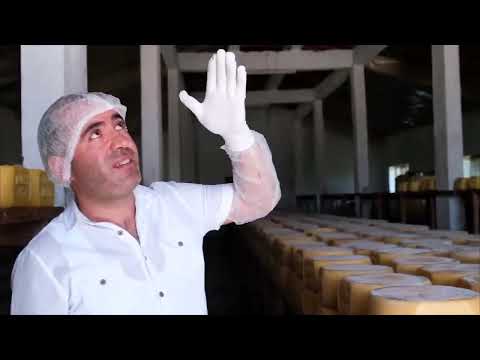 Kars Kaşarının Serüveni. Sipariş için bize yazabilirsiniz. ( Link Açıklamalarda)