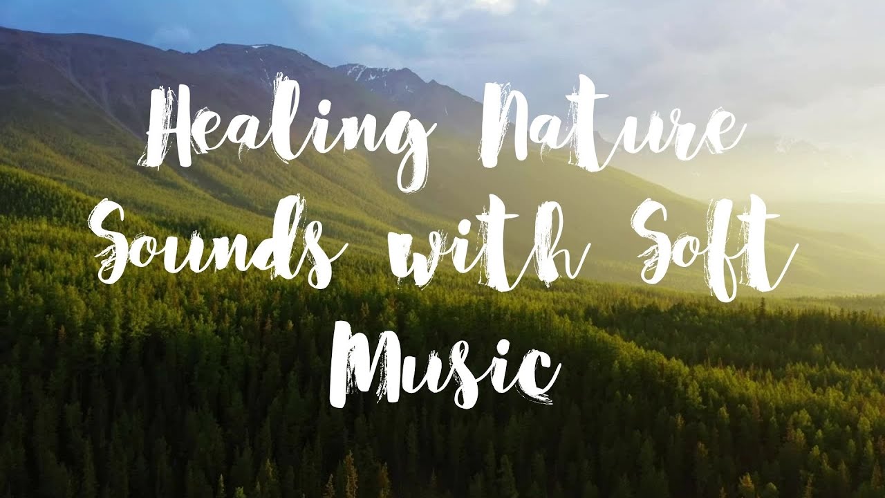 Healing Nature Sounds with Soft Music - YouTube