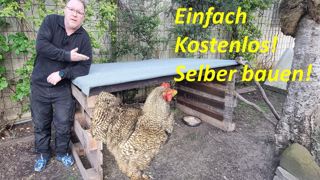 So baut ihr einen Hühner Unterstand ! - YouTube