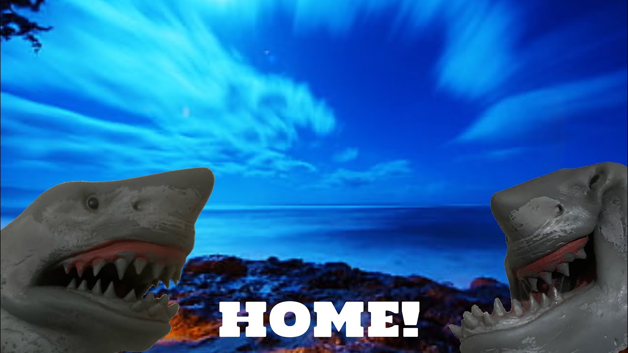 thesharkpuppetgang and sharky boy find HOME! - YouTube