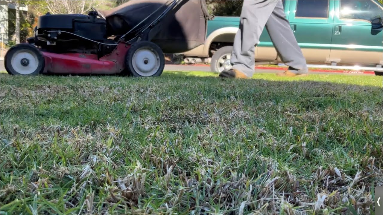 Satisfying video of Gardner mowing lawn - YouTube
