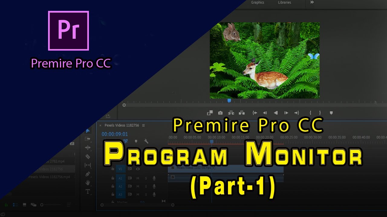 Program Monitor In Premiere Pro Easy Way To Learn Program Monitor In Premiere Pro Easy Way To Learn