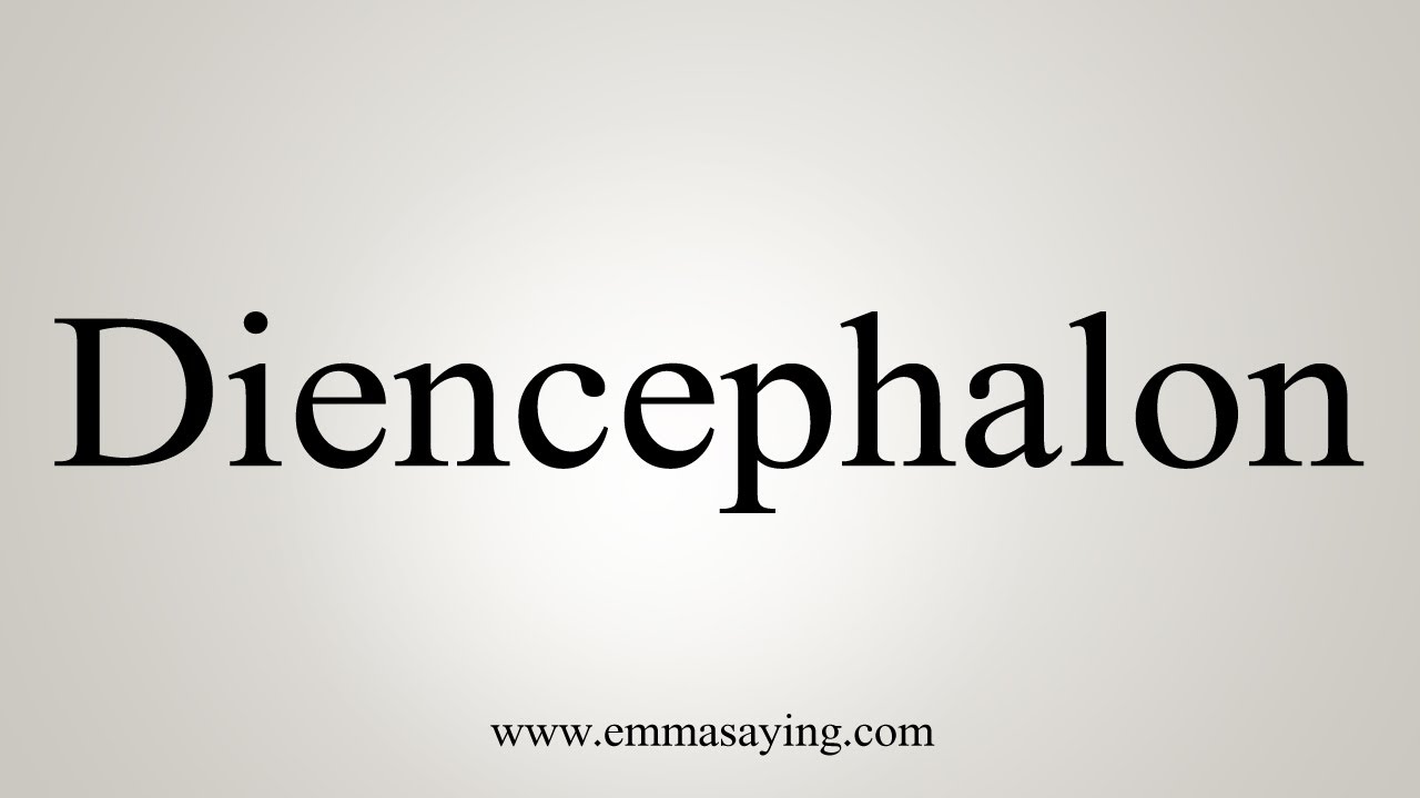 How To Say Diencephalon - YouTube