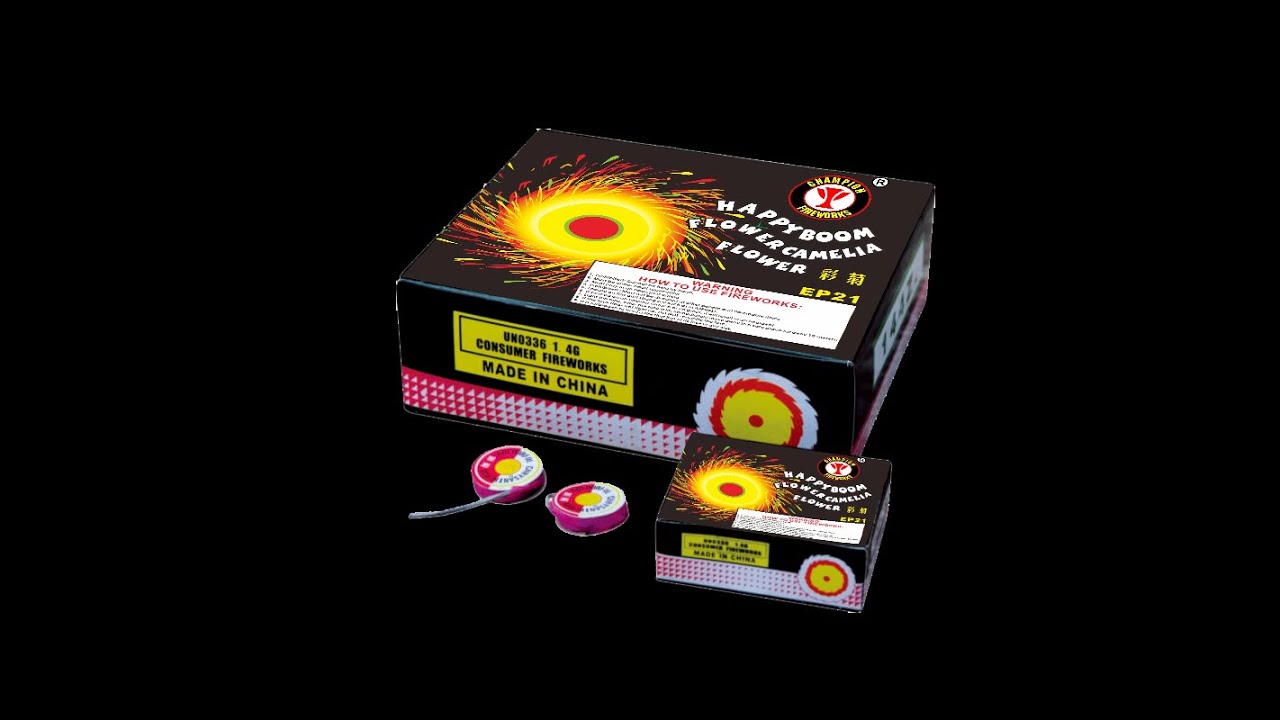 Happy Boom Flower Camelia Flower (COLOR CHRYSANTHEMUM FIREWORKS) - YouTube