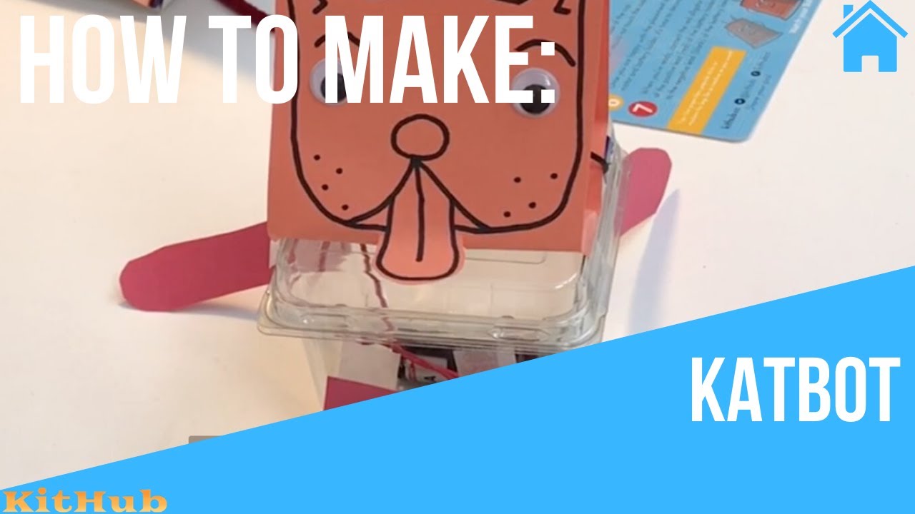 How To Make A CatBot - YouTube
