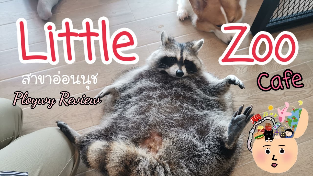 little zoo cafe (สาขาอ่อนนุช) l พลอยวี่รีวิวกิน Ep.1 l Ploywy Review ...