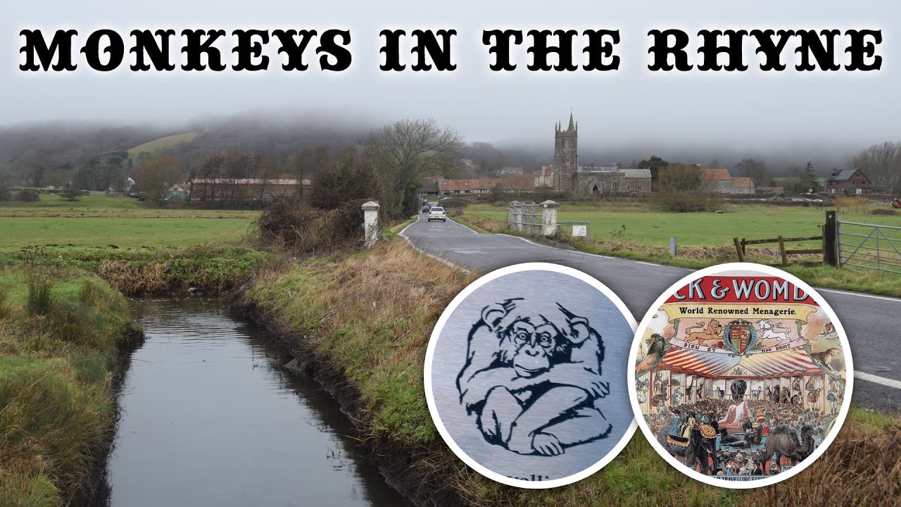 The Tickenham Monkey Bridge rhyne disaster(s) - YouTube