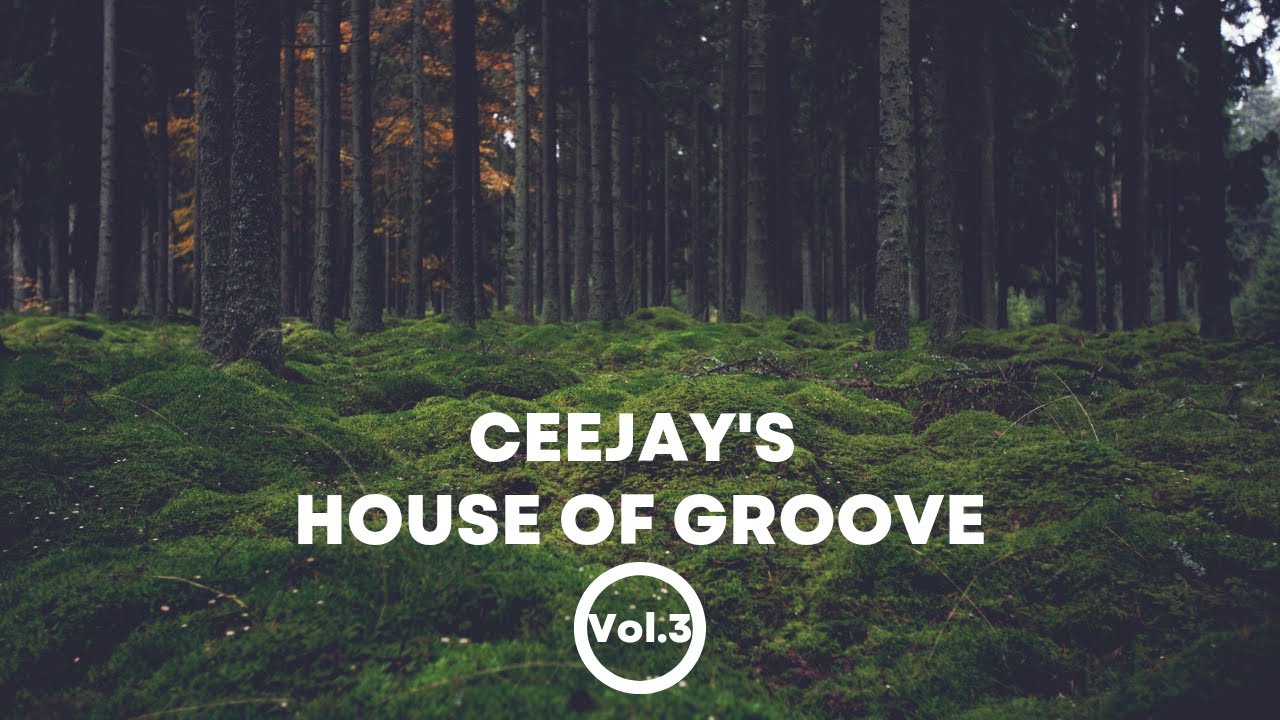 CeeJay's House of Groove Vol 3 - YouTube