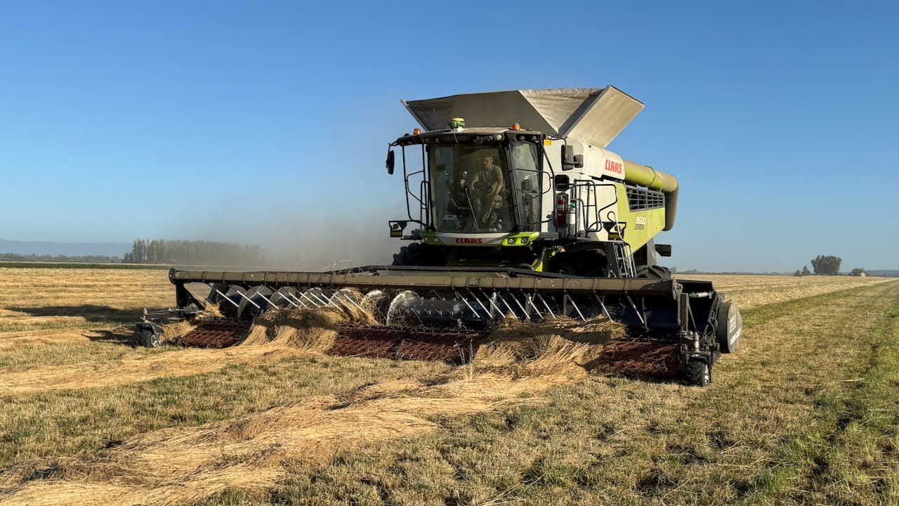 Knuckey Front in Grass Seed Maximizing Productivity! - YouTube