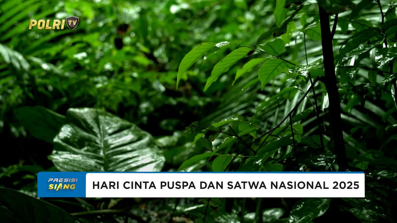 INFOGRAFIS HARI CINTA PUSPA DAN SATWA NASIONAL 2025 - YouTube