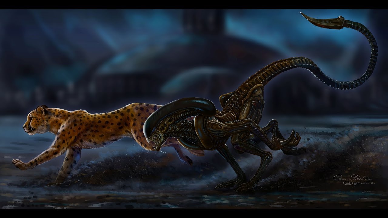 Speedpaint - Alien and Cheetah (Alien: Covenant, Alien 3) (ES) - YouTube