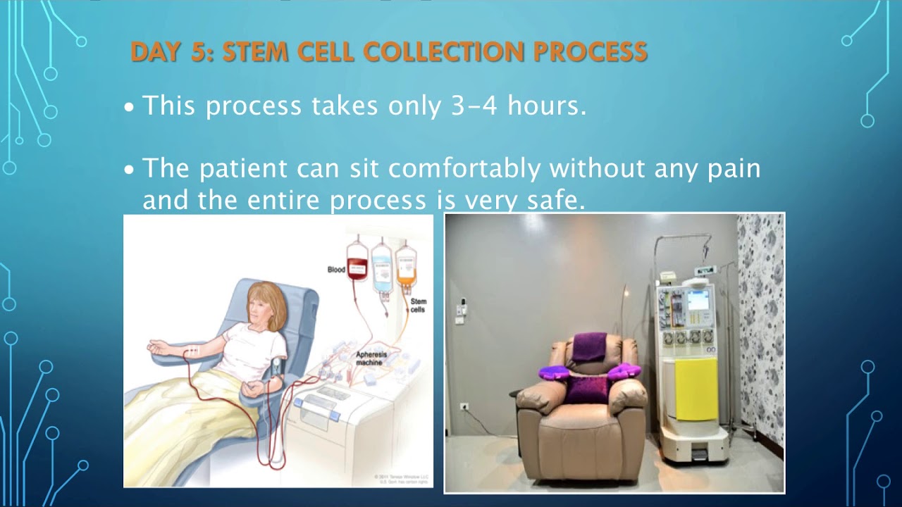 Peripheral blood stem cell process - YouTube