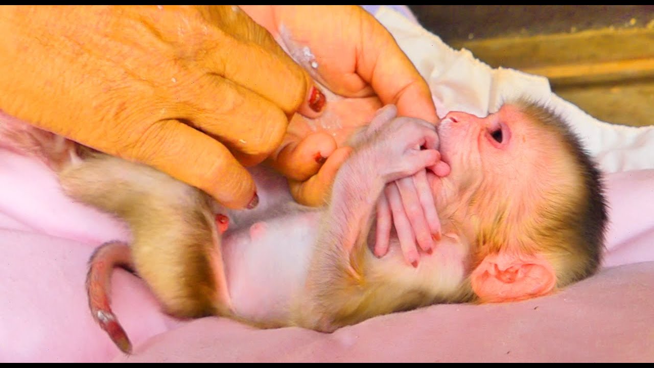 Special Time For Baby Bou Bou | Lovely cute baby mom best take care ...