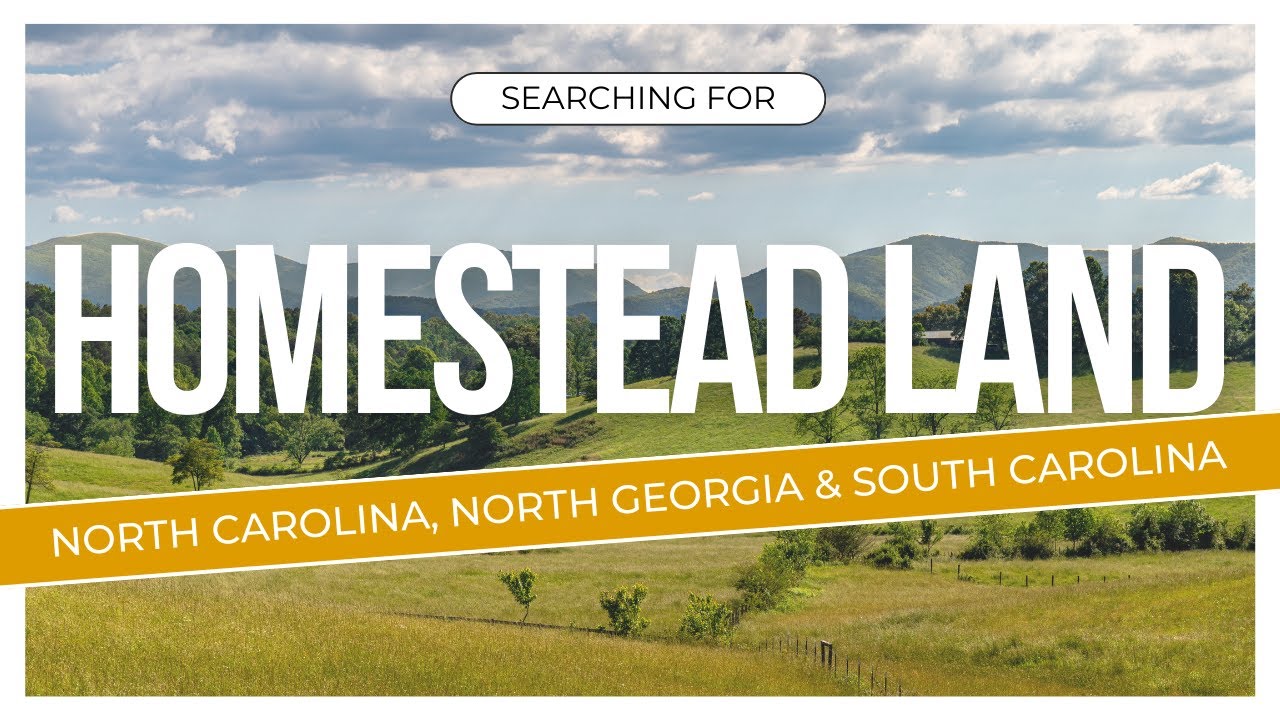 Searching for homestead land in North Carolina, North Georgia and South ...