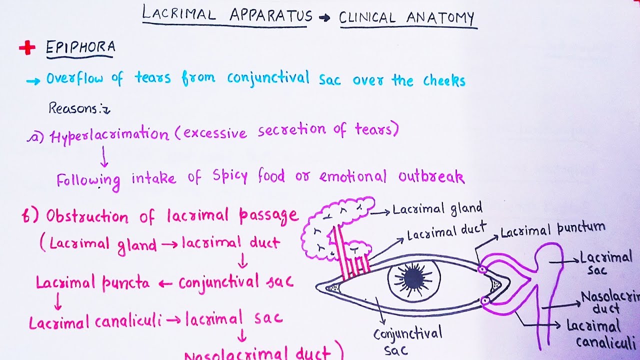 EPIPHORA ( Clinical of Lacrimal Apparatus ) - YouTube