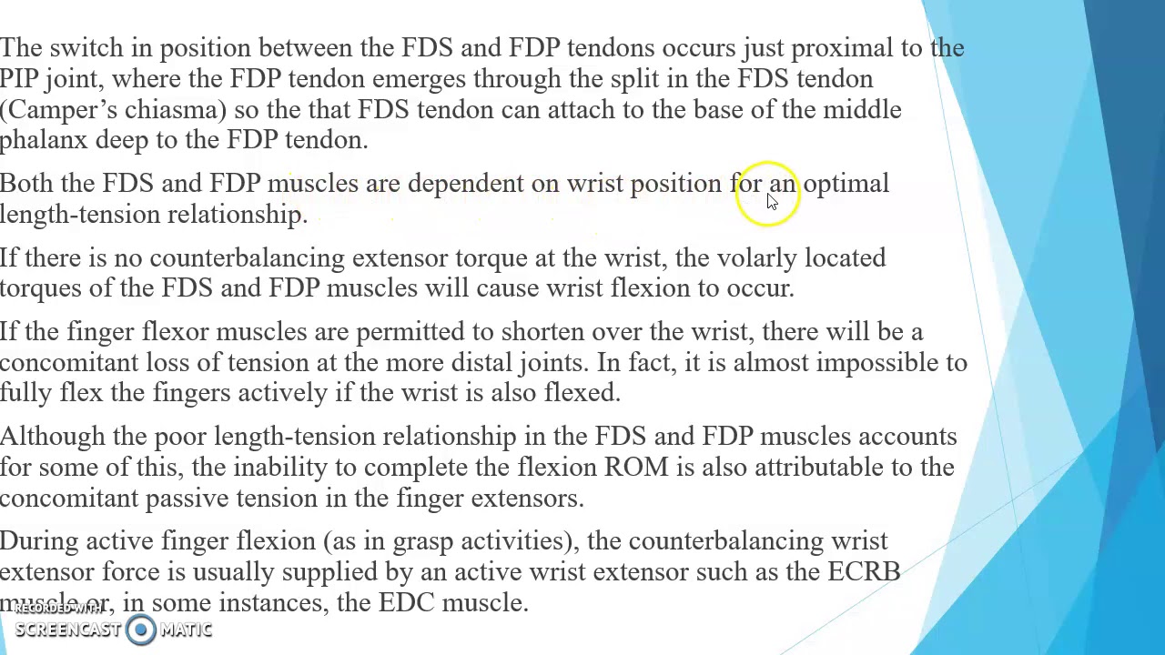 Biomechanics wrist and hand complex, Part 20, Prof Nishand, AWH Special ...