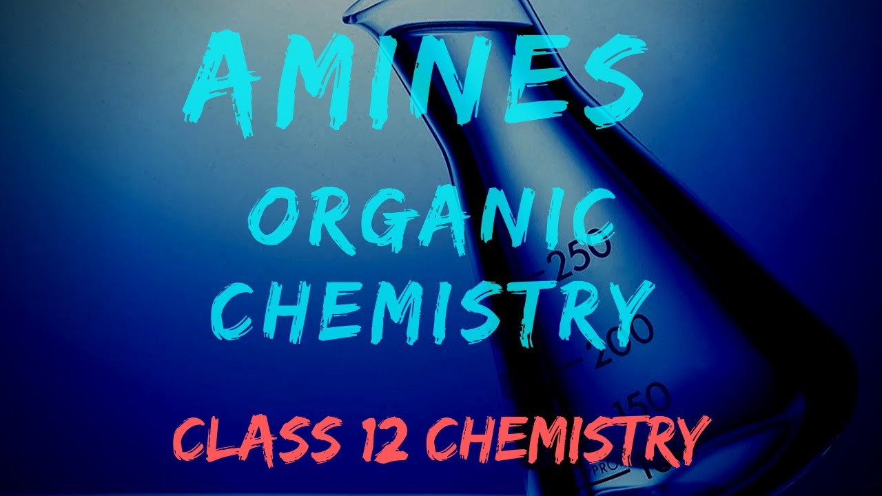 Amines Organic Chemistry Class 12 Chemistry YouTube amines-organic-chemistry-class-12-chemistry-youtube