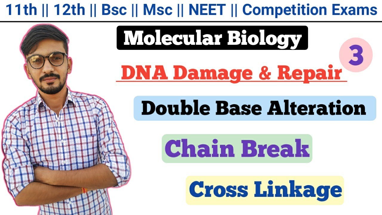 Double Base Alteration || Chain break || Cross Linkage || DNA Damage ...