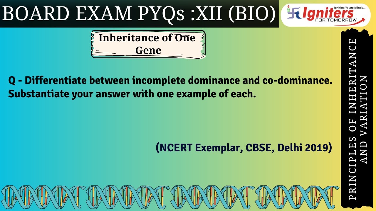 Differentiate between incomplete dominance and co-dominance ...
