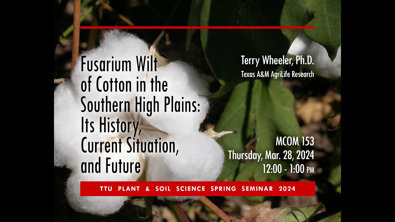 Fusarium Wilt of Cotton in the Southern High Plains | Dr. Terry Wheeler ...