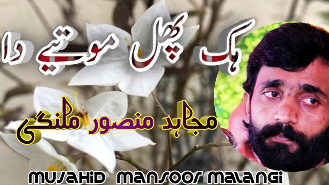 Ek phul motiye da | Mujahid Mansoor Malangi new song 2021 | mujahid ...