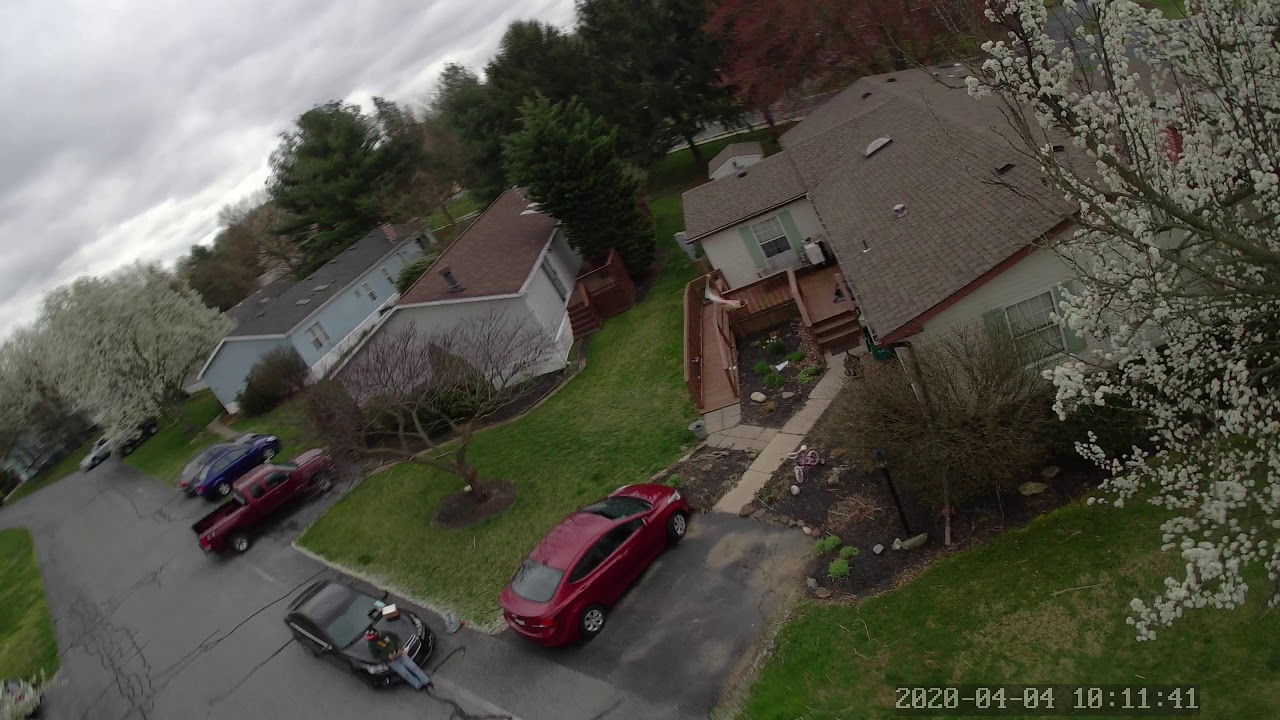 Tree Hopping - YouTube