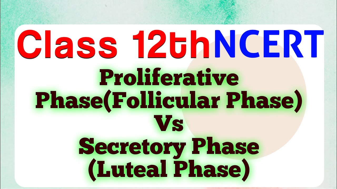 Differences between Proliferative Phase( Follicular) and Secretory ...