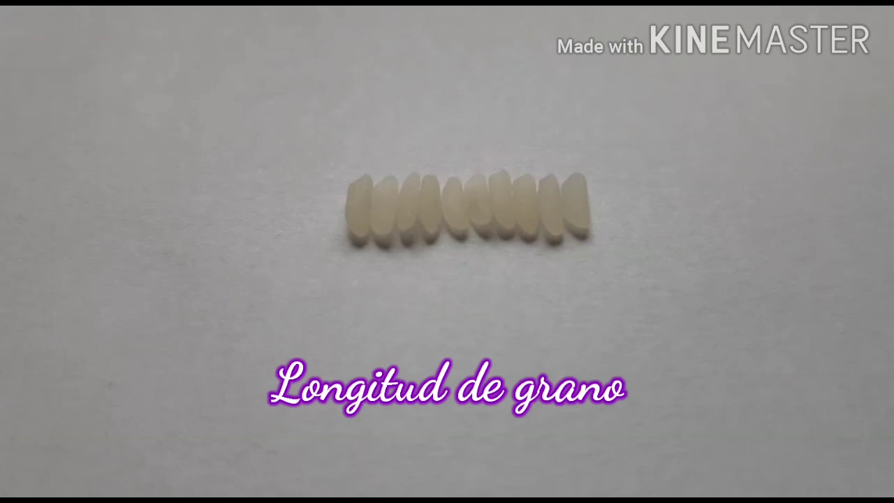 Rommel Cortegana Delgado: Calidad culinaria de dos marcas de arroz ...