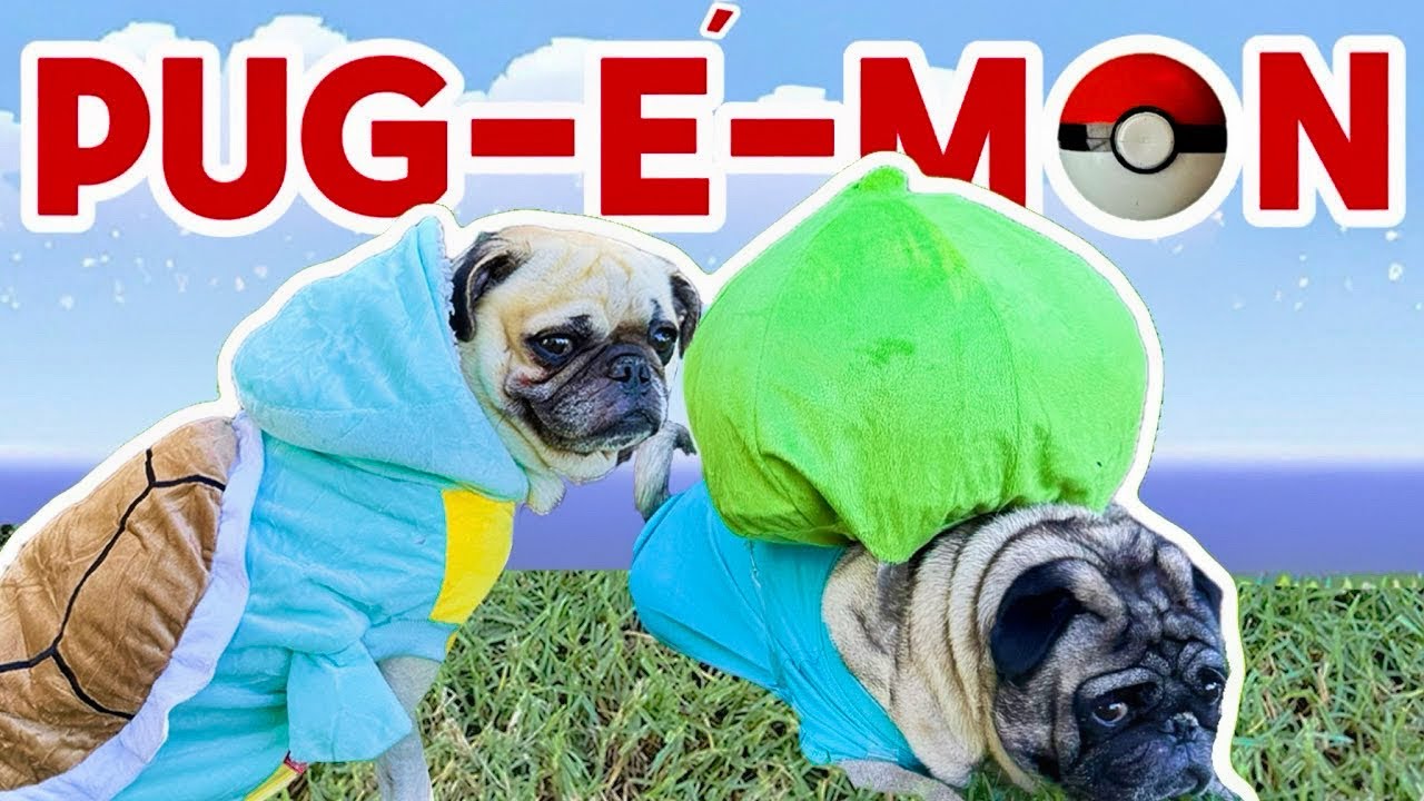What If Dogs Were Pokemon?! (Funny Pug Pokemon!) - YouTube