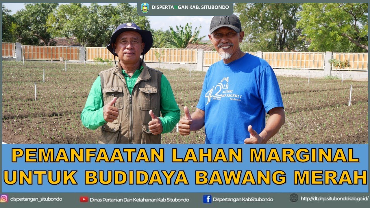 PEMANFAATAN LAHAN MARGINAL UNTUK BUDIDAYA TANAMAN BAWANG MERAH ...