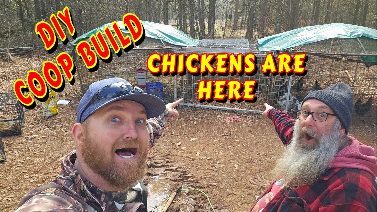THIS WAS AN EPIC BUILD tiny house, homesteading, off-grid, cabin build ...