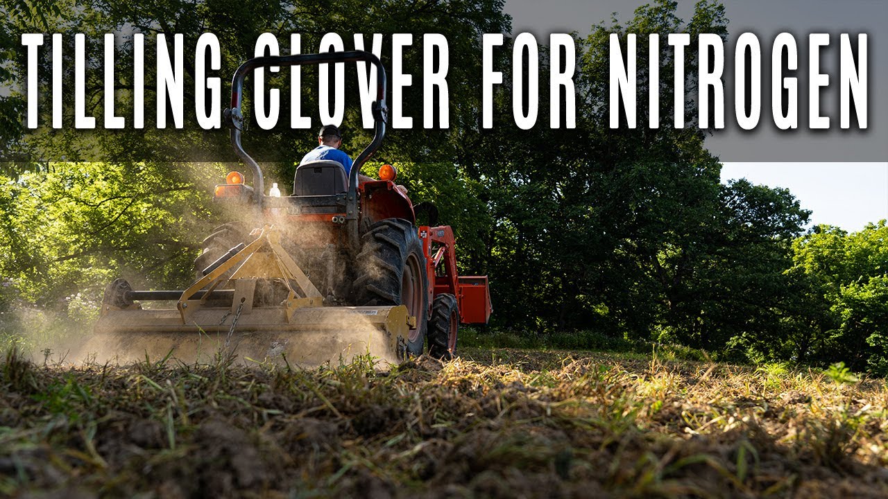 Tilling Clover For Nitrogen | Frigid Forage - YouTube