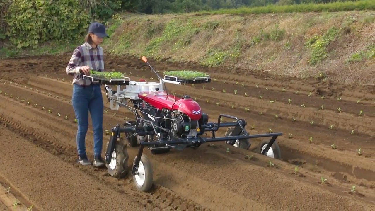 Automatic Tree Transplant Machines Smart Farming With Intelligent ...