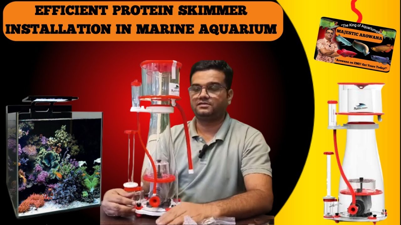 How to install Protein Skimmer and their uses in marine aquarium - YouTube