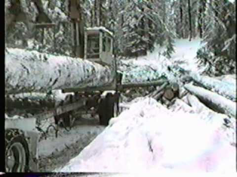 MORE LOGGING - YouTube