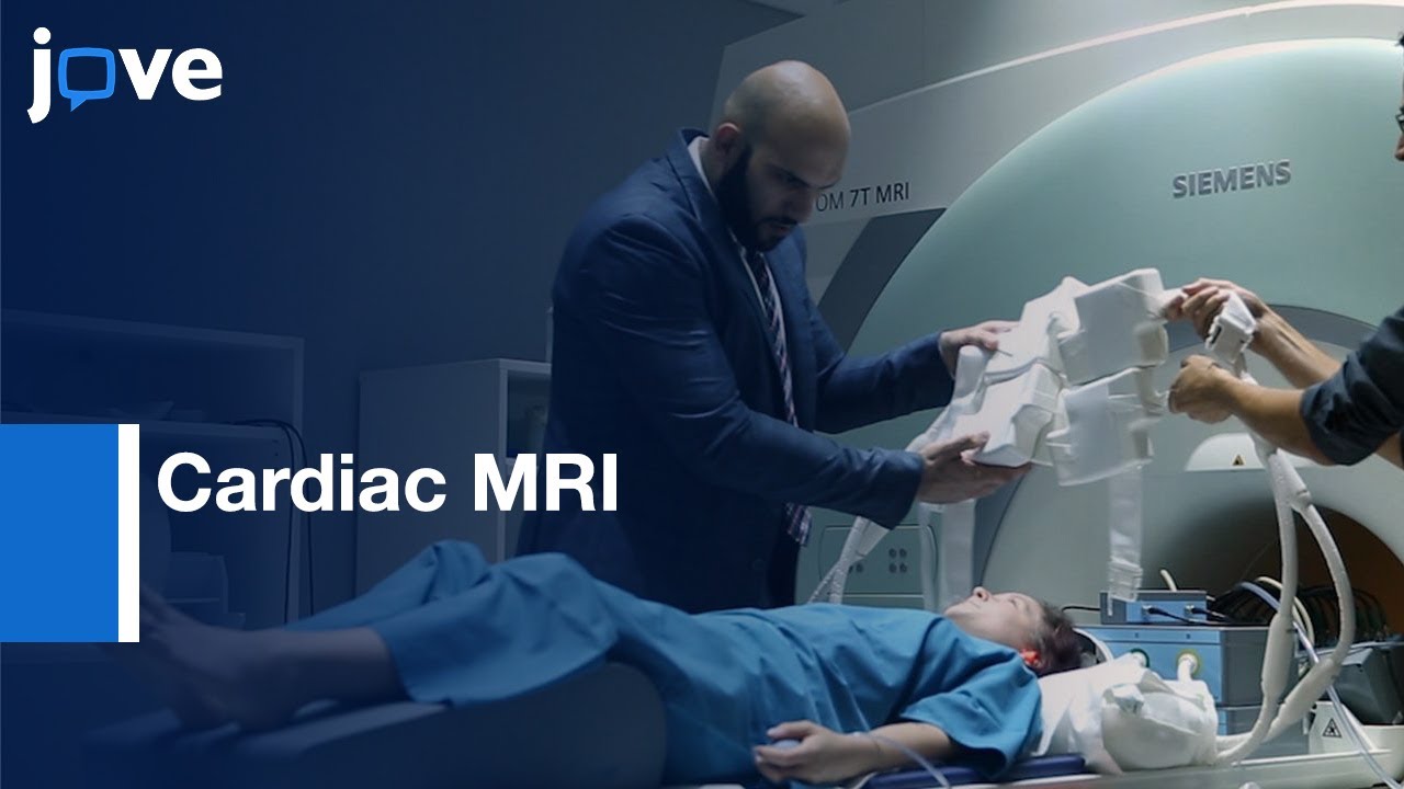 Cardiac Magnetic Resonance Imaging at 7 Tesla | Protocol Preview - YouTube