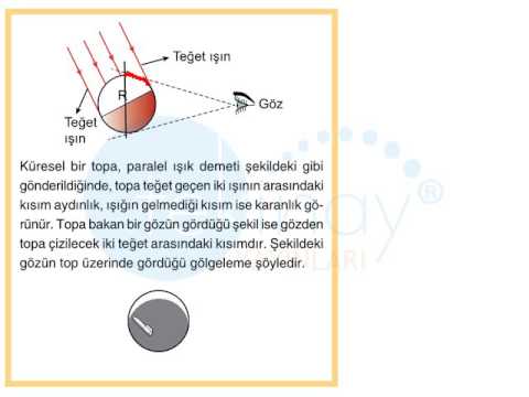 Gölge Oluşumu AYT Öncesi Hatırlatma 6