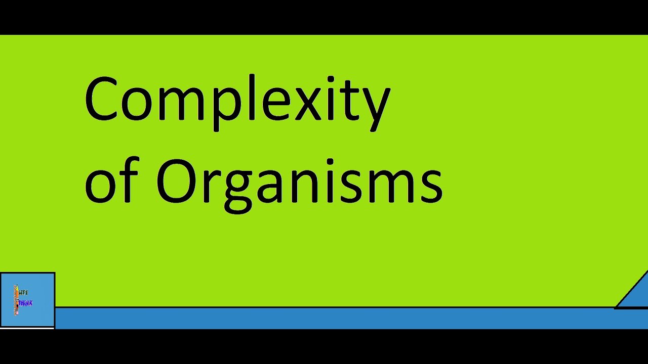 Complexity of organisms - YouTube