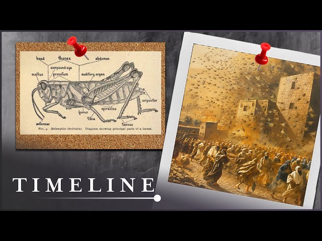 The Exodus Decoded - Top Documentary Films