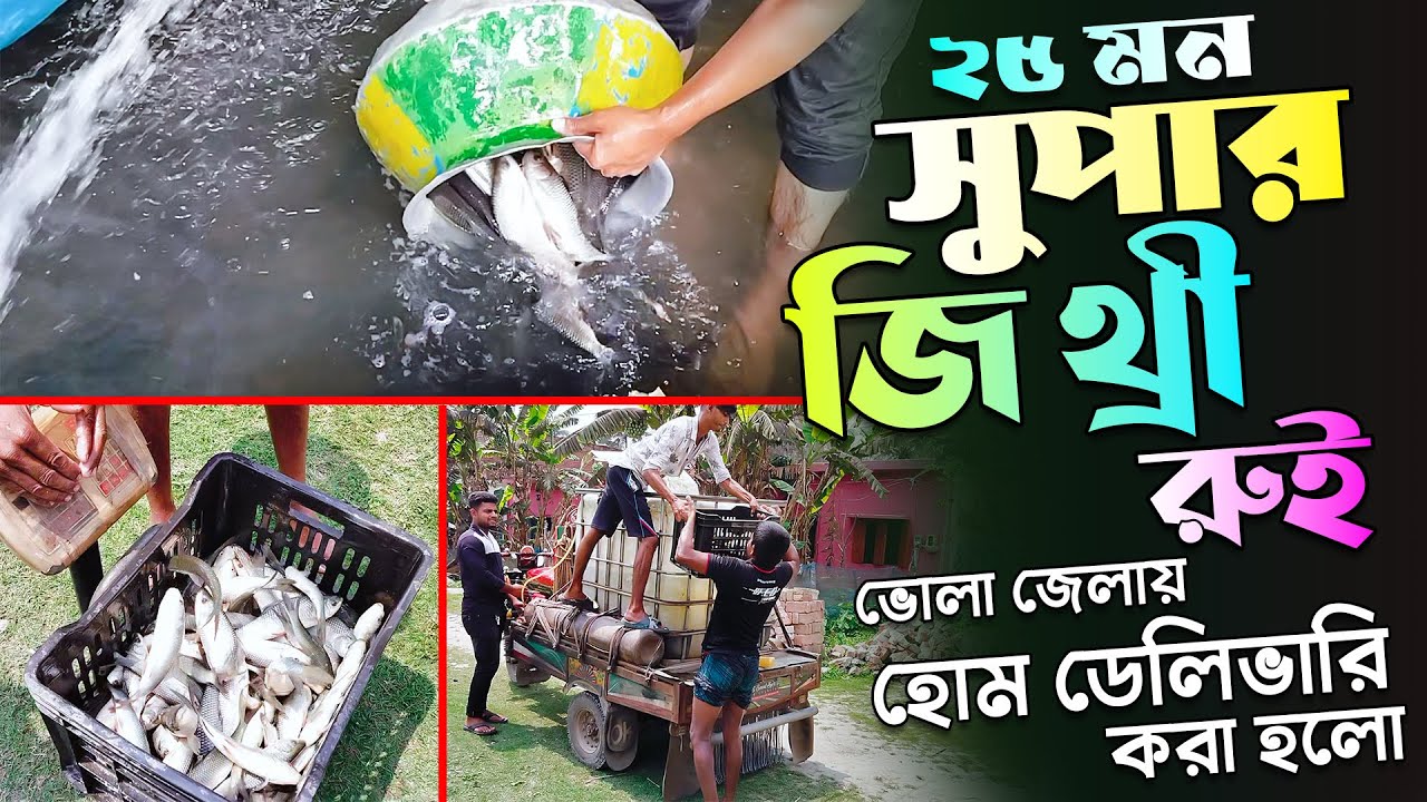 ২৫ মন সুপার জি থ্রী রুই ভোলায় হোম ডেলিভারি করা হলো || Jessore Fish ...